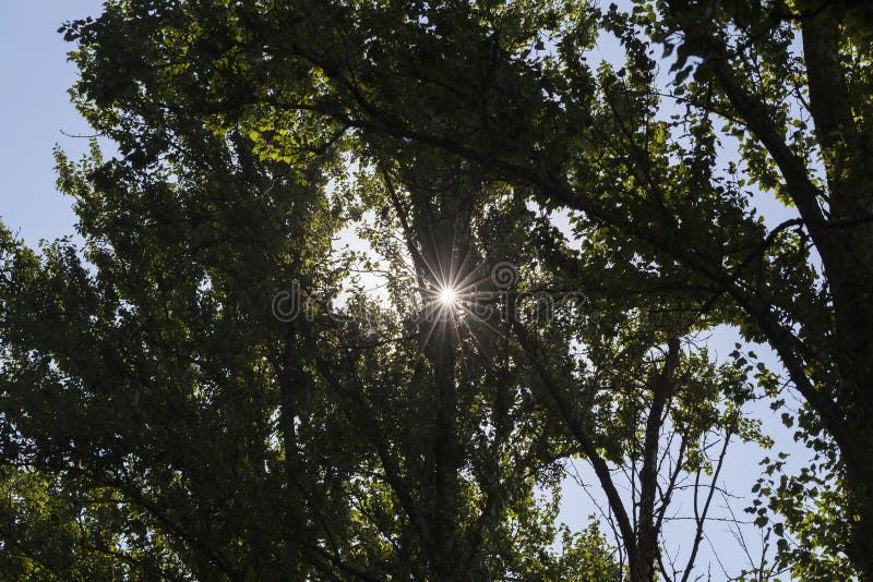 Sun with rays stock photo. Image of nature, beam, bright - 121820222