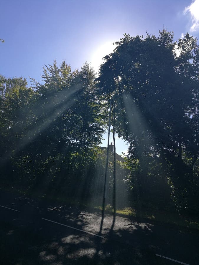 Sun rays stock photo. Image of shadows, sunny, rays, trees - 79597892