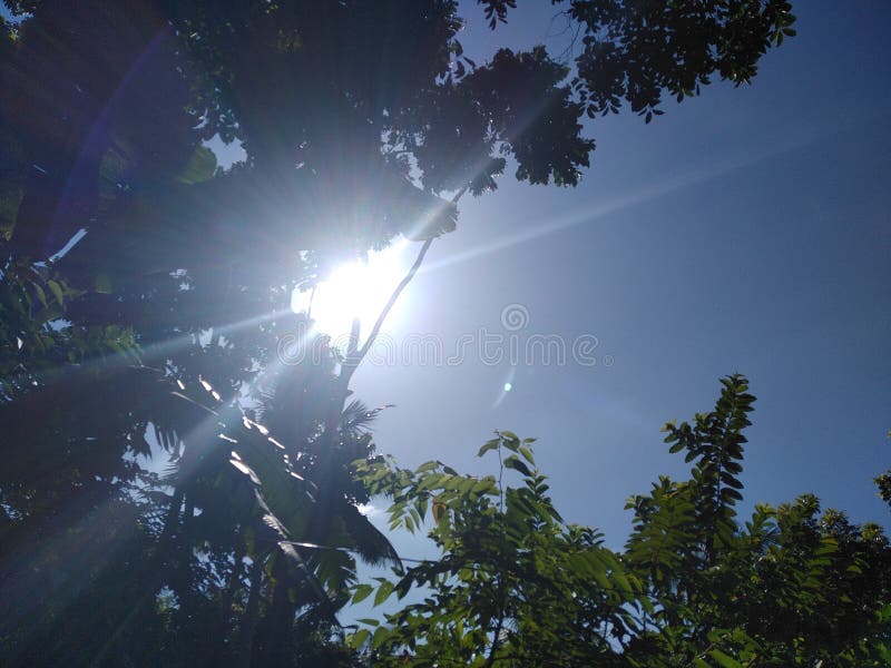 Sun rays stock image. Image of throwing, world, rays - 123363357