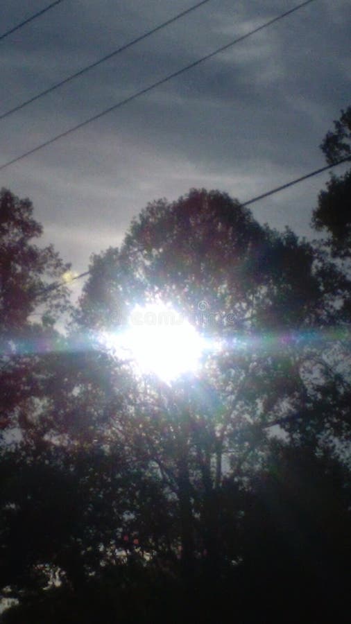 Peek-a-Boo Sun through Trees Stock Image - Image of trees, evening ...