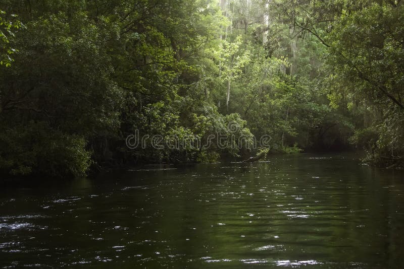 Sun Rays on the Wakulla River Marshlands Stock Image - Image of scenery ...