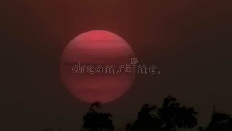 Sun, Red Sun, Sunset, Trees, Full Round, Clouds Stock Photo - Image of ...