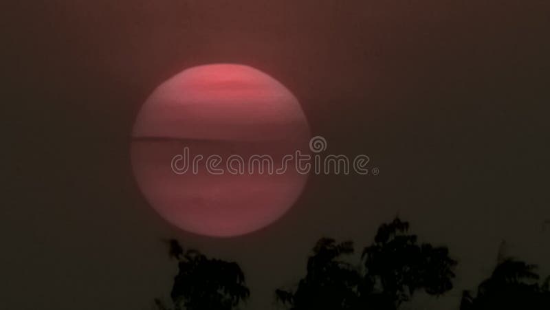 Sun, Red Sun, Sunset, Trees, Full Round, Clouds Stock Photo - Image of ...