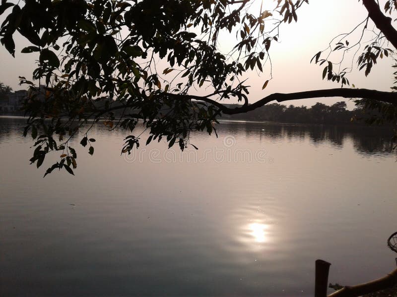 Sun reflect stock photo. Image of nice, reflect, beautiful - 86349374