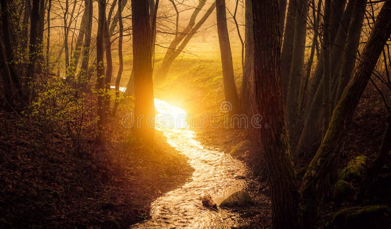 Sun reflect in water stock image. Image of early, spring - 90756207