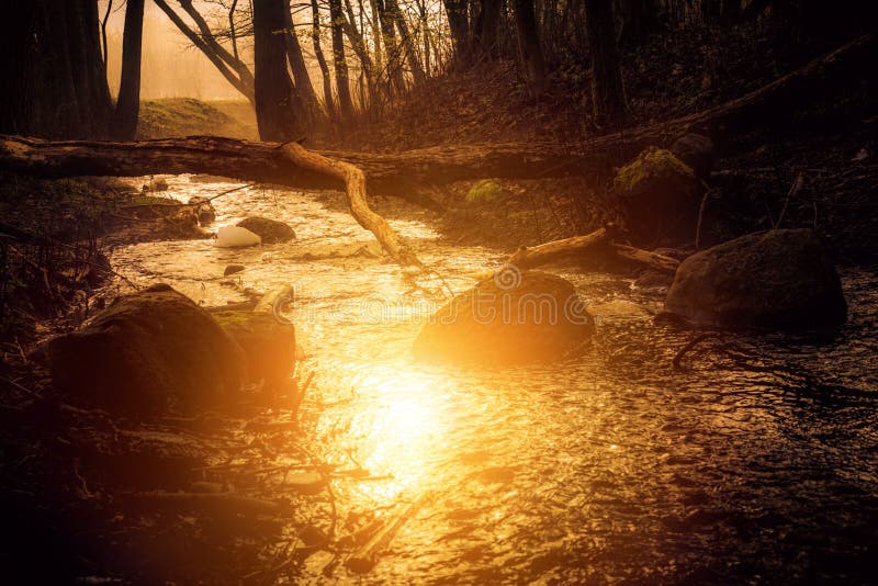 Sun Reflect in Water, Sunrise Stock Photo - Image of sunrise, travel ...