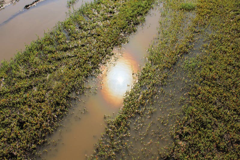 The Sun is Reflected in a Puddle in the Water Stock Image - Image of ...
