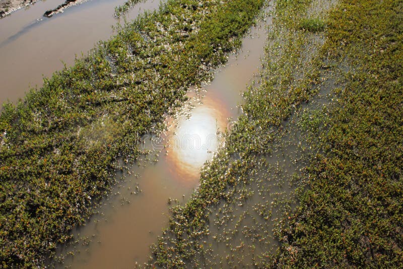 The Sun is Reflected in a Puddle in the Water Stock Image - Image of ...