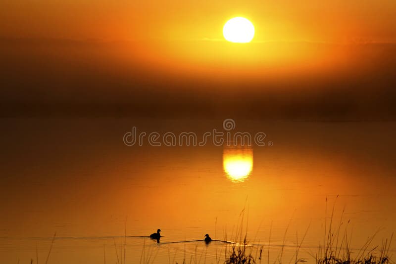 Sun reflecting stock photo. Image of canada, saskatchewan - 15832646