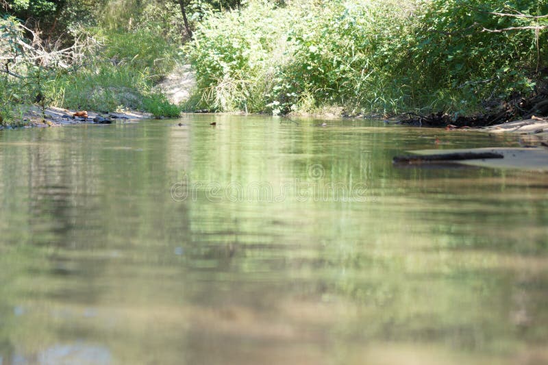 Sun Reflecting stock image. Image of mirror, beautiful - 87729781