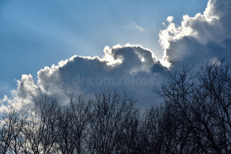 Ray's Bouncing Stock Photos - Free & Royalty-Free Stock Photos from ...