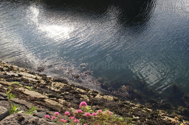 Sun Reflecting Off Dark Water beside Pier Stock Photo - Image of grass ...