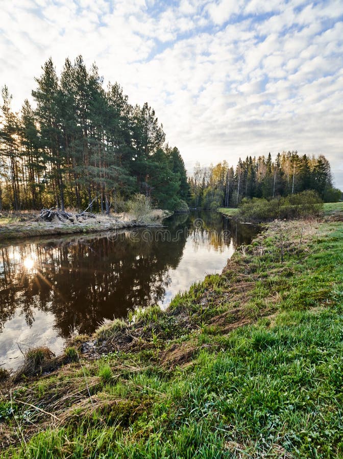 Sun Reflecting on Water, Grass, and Trees by the River in a Forest ...