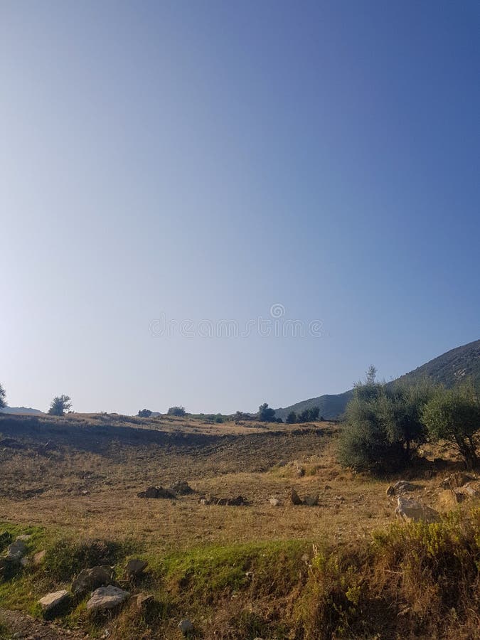 Sun Reflection on Dead Grass Stock Image - Image of decayed, fleeting ...