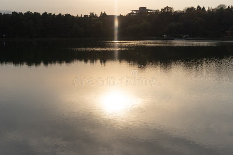 Sun Reflection in Water at Sunset Stock Photo - Image of sunlight ...