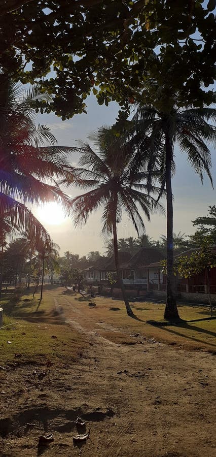 Sun rice village at beach stock image. Image of coconut - 276318119