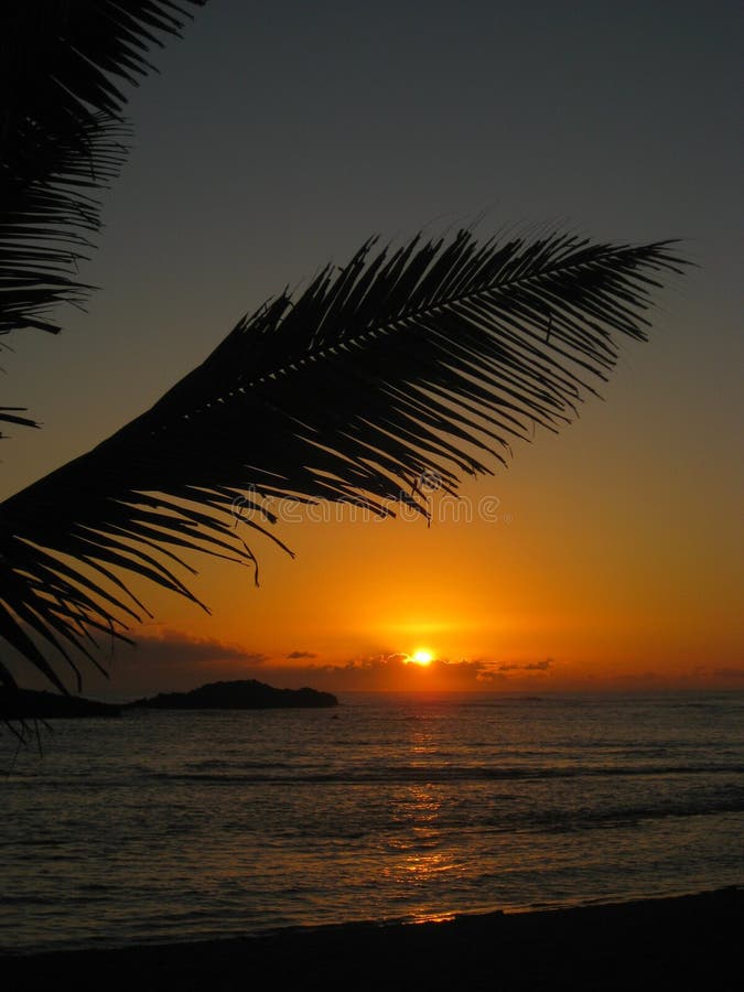 Sun rise stock photo. Image of ocean, tides, clouds, tree - 9142938