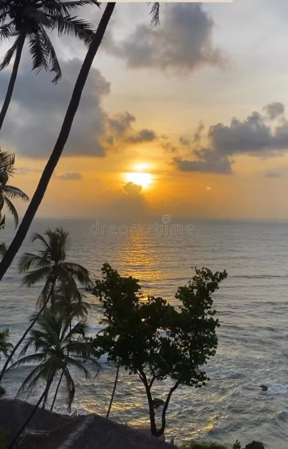 Sun Rise stock image. Image of tree, shore, sunset, sunrise - 267398157