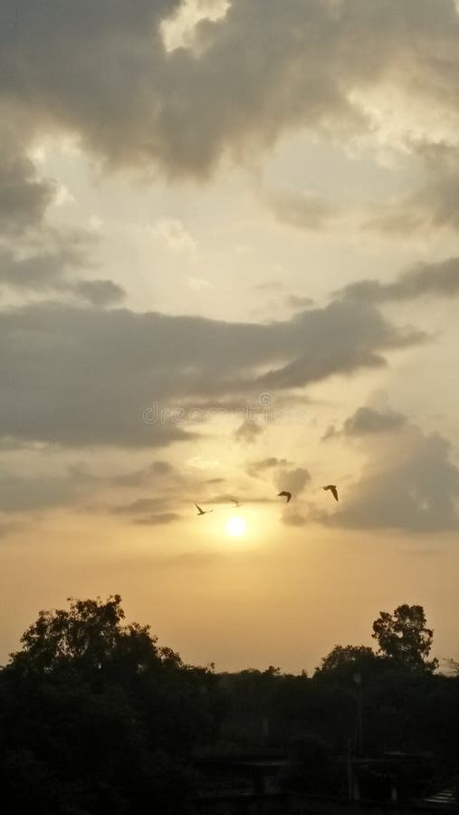 Sun rise and Bird flying stock image. Image of claud - 153603013