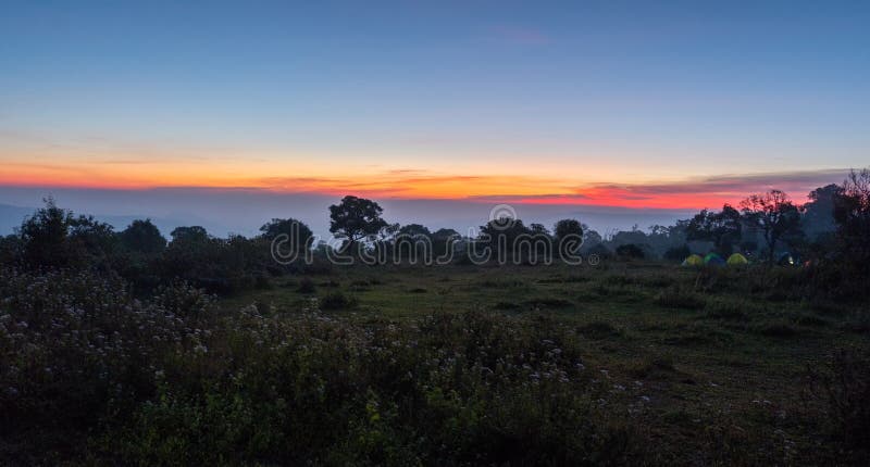 Sun Rise Dawn Over the Horizon of an Open Land with a Solitary Tree in ...