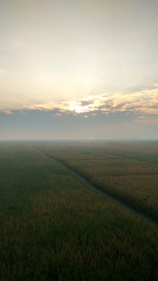 The sun rise light stock image. Image of looking, light - 80417853