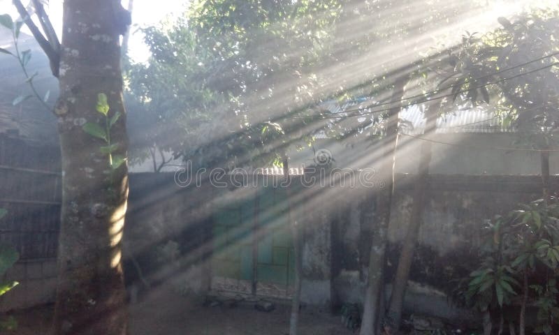 Sun rise stock photo. Image of natural, morning, rise - 81257334