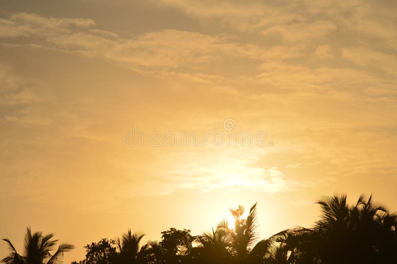 Sun rise view of sky stock photo. Image of tree, sunset - 203231044