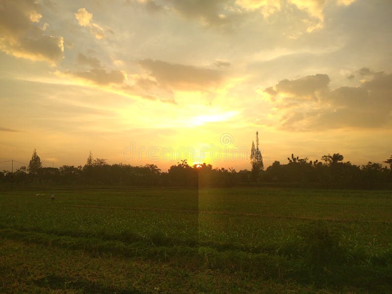 The Sun Rises in the Afternoon Sky Cloudy Rice Field Stock Image ...