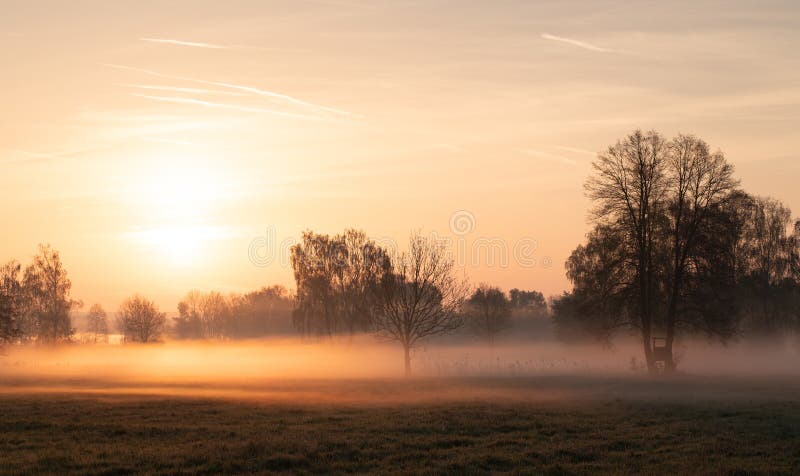 The Sun Rises Behind Bare Trees. the Trees are Covered in Mist Stock ...