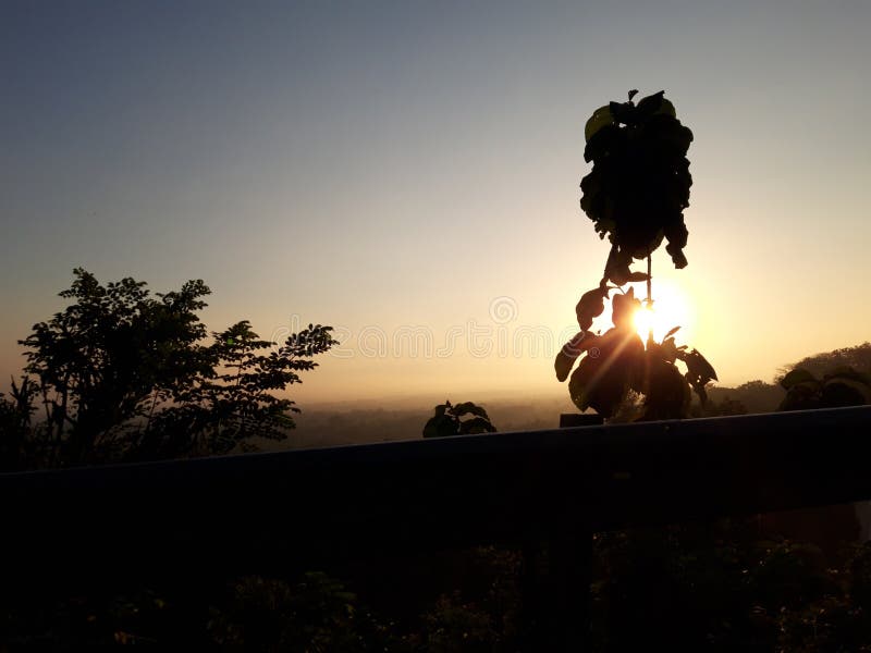 The Sun Rises Behind the Jati Tree Stock Image - Image of sunrise ...