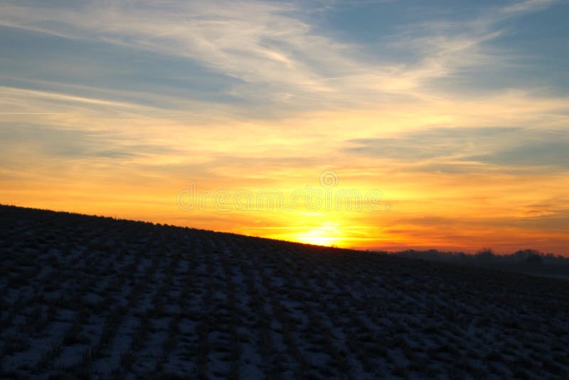 Sun Rises Behind Yellow Corn Field in Autumn Stock Image - Image of ...