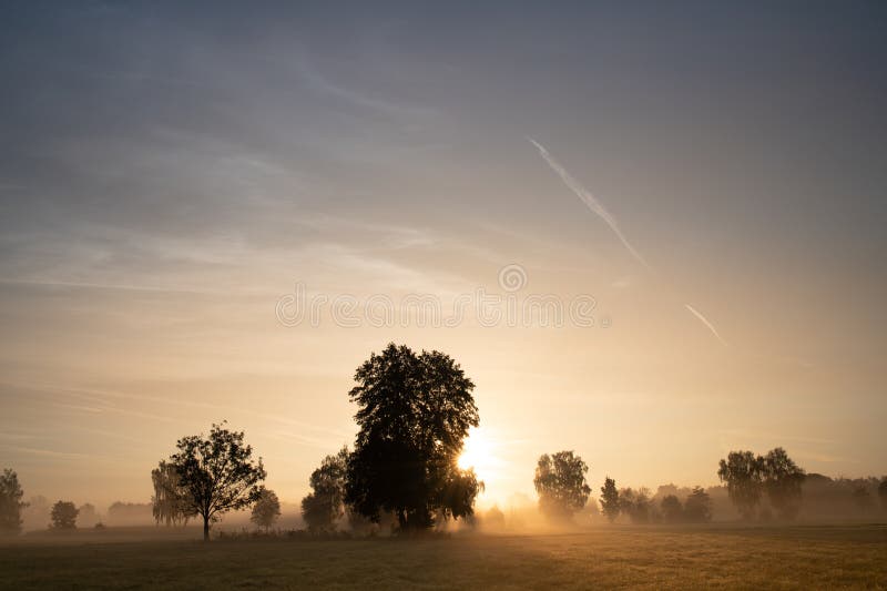 The Sun Rises Behind Trees. the Sun S Rays Form a Star of Light between ...