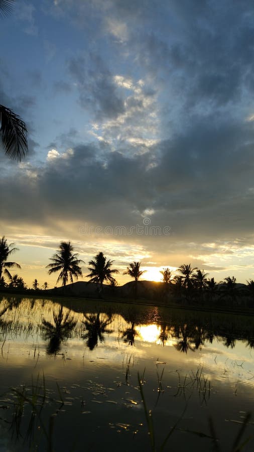 When the Sun Rises, Consider it the First Step Towards Success. Stock ...