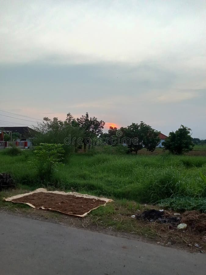 The Sun Rises from the East Stock Image - Image of rise, rises: 316681241