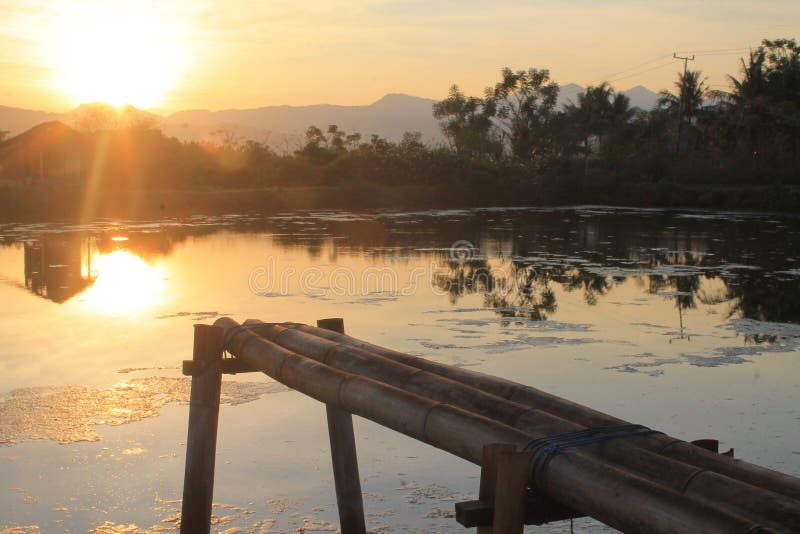 Sunrise in the pond stock photo. Image of rises, morning - 220046210