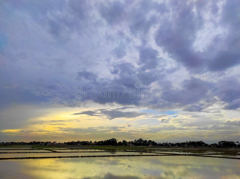 The Sun Rises Moment Over the Rice Fields Stock Image - Image of lake ...