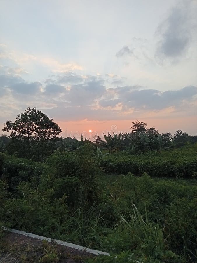 The Sun Rises in the Morning Stock Image - Image of rises, sunrise ...