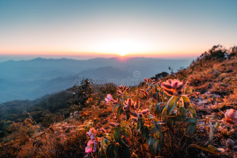 The Sun Rises on the Mountain in Summer Stock Photo - Image of dusk ...