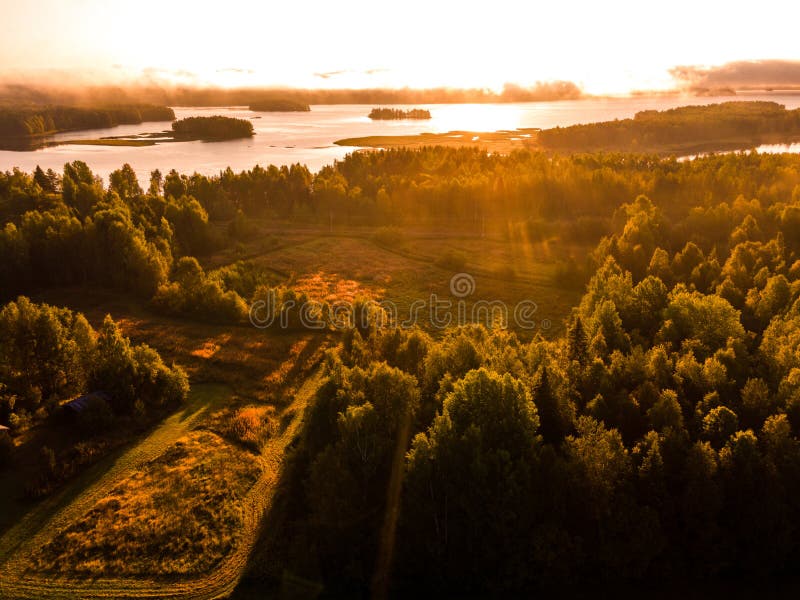The Sun Rises Over a Foggy Forest Landscape and the Trees Cast Shadows ...