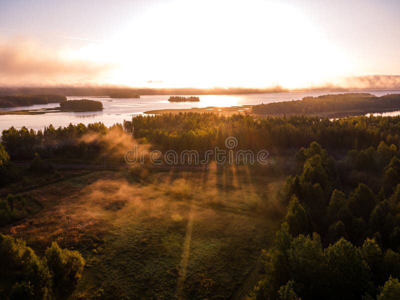 The Sun Rises Over a Foggy Forest Landscape and the Trees Cast Shadows ...