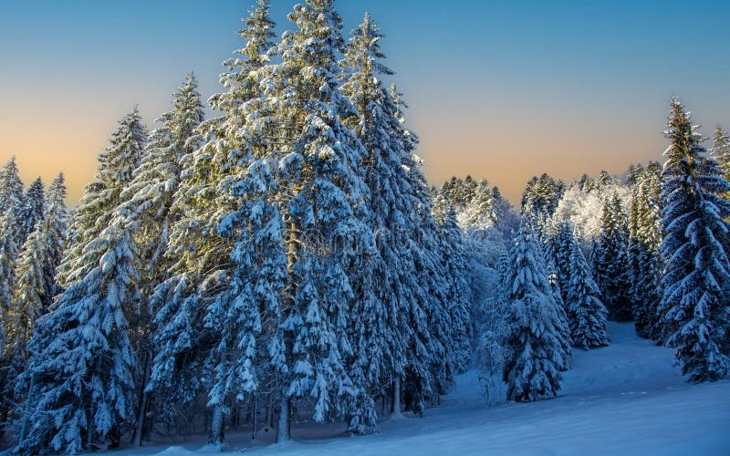 716 Vermont Ski Mountains Map Stock Photos - Free & Royalty-Free Stock ...