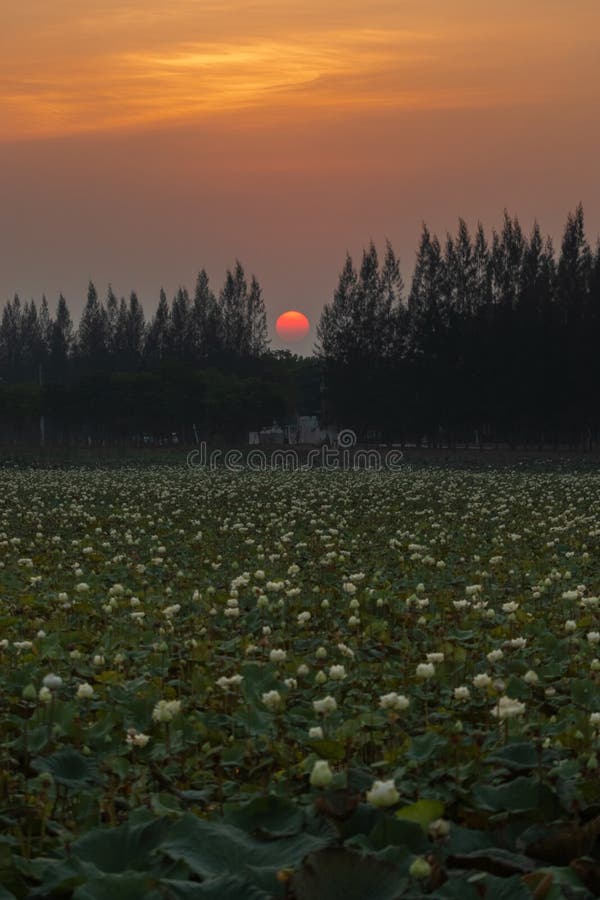 Sun rises and sunset. stock photo. Image of brightly - 170779424