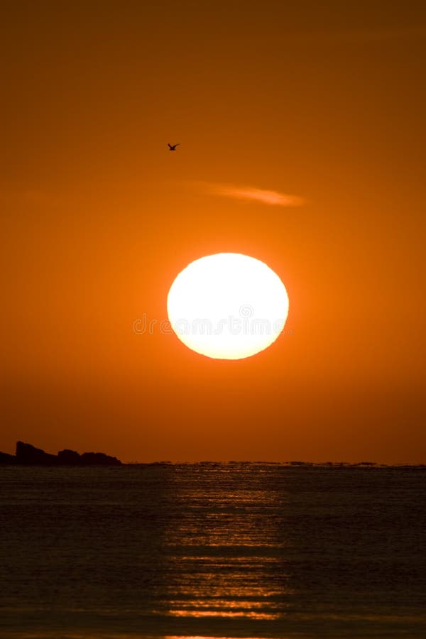 Sun rising stock photo. Image of warm, waves, born, morning - 5919732