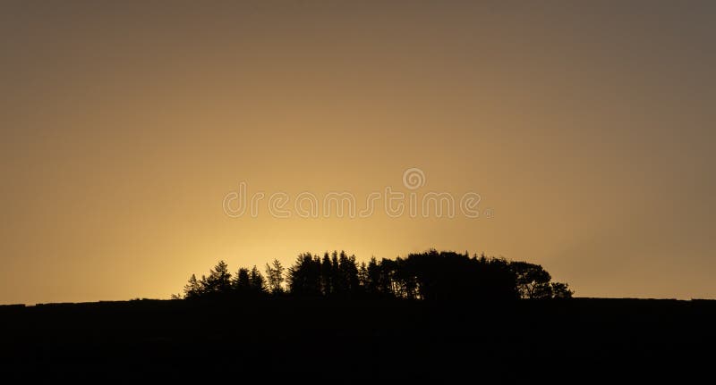 Sun Rising Behind Trees Northumberland, UK Stock Photo - Image of ...