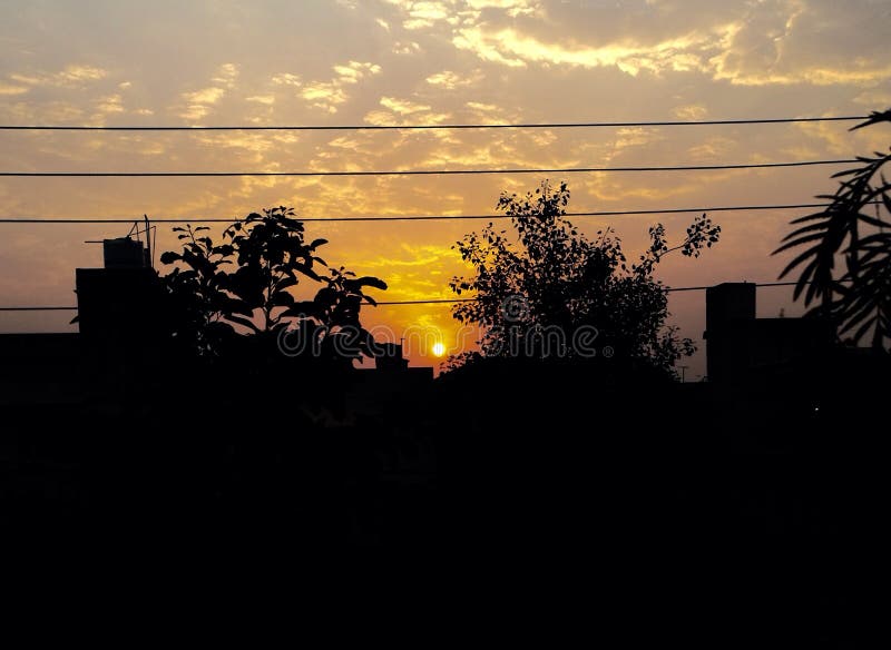 Sunrise stock photo. Image of sunrise, plant, dawn, horizon - 101732566