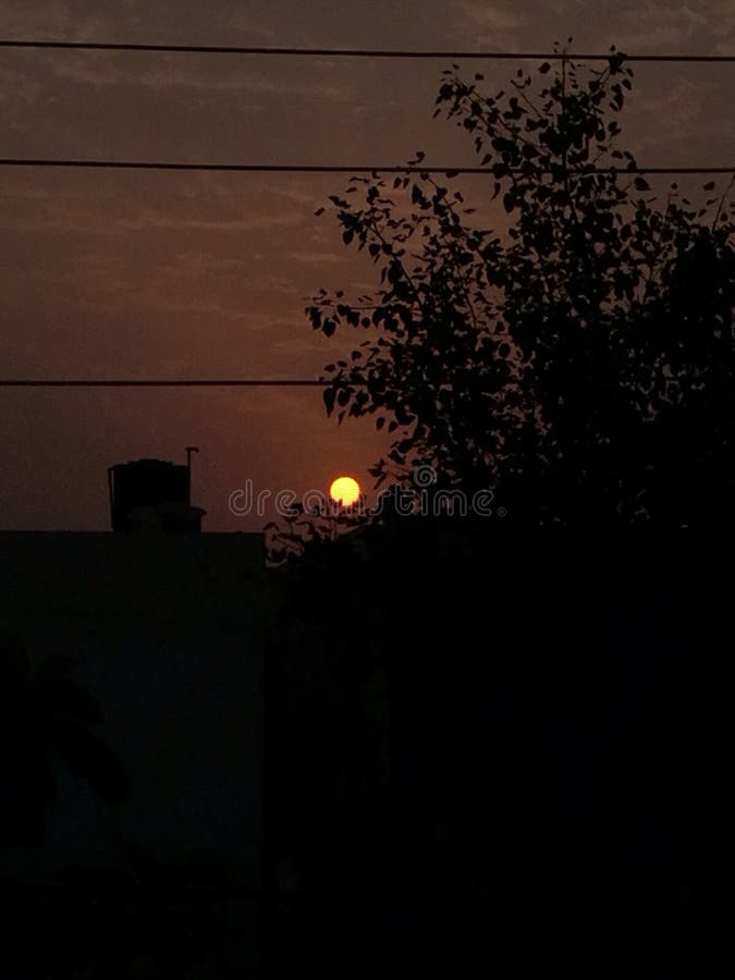 Sunrise stock image. Image of sunrise, dawn, tree, nature - 101732573