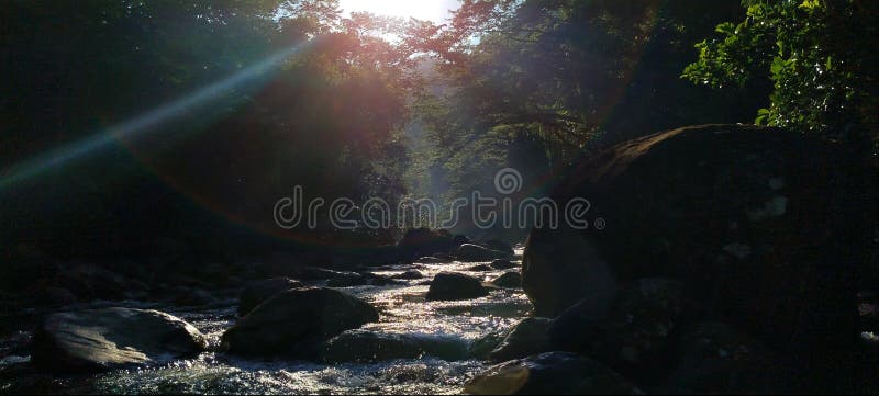 Sun Rising Forest Facing River Stock Photos - Free & Royalty-Free Stock ...