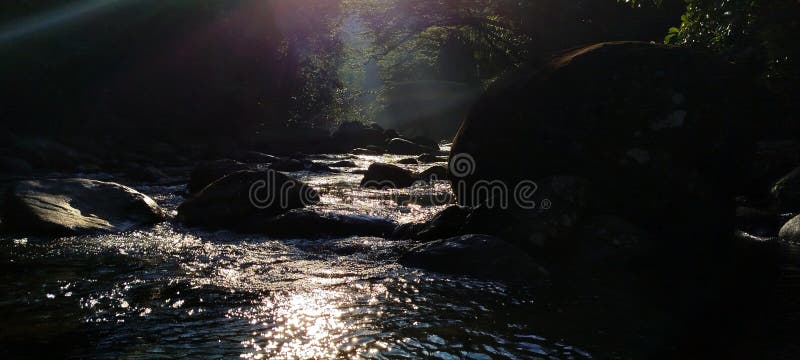 Sun Rising Landscape Facing River Forest Stock Photos - Free & Royalty ...