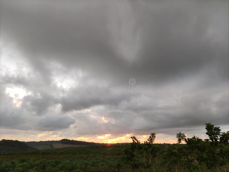 Sun Rising in the Middle of the Forest Stock Photo - Image of cumulus ...