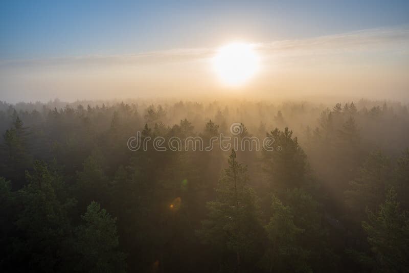 Sun Rising in Mist Covered Forest Stock Photo - Image of landscape ...